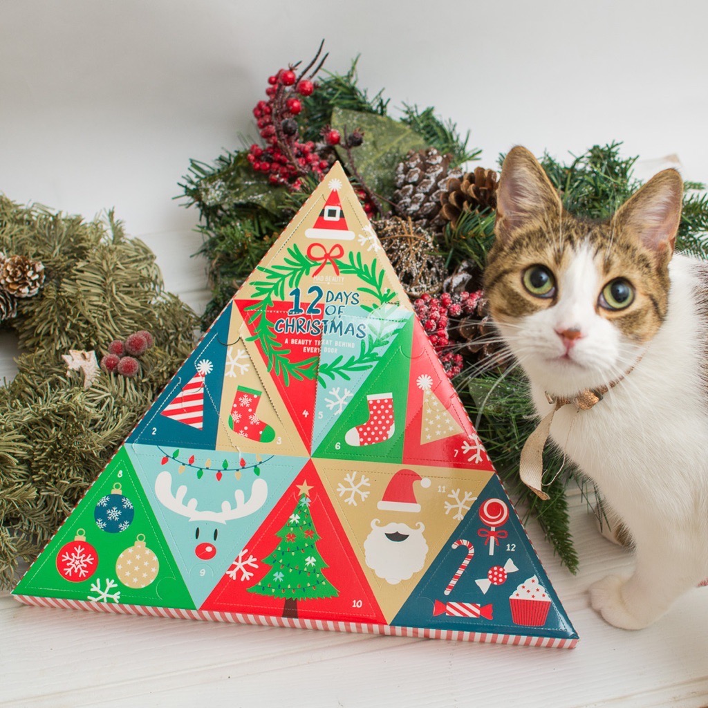 Alternate Advent - 12 Days of Christmas Beauty Advent Calendar* - Codiekinz